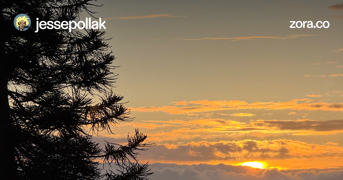 berkeley hills sunset