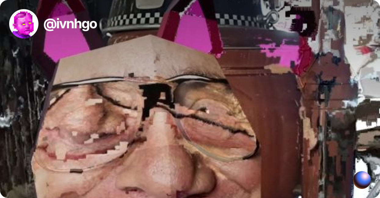 zora storys - a wild dog with Devito's face appeared 19/09/2024