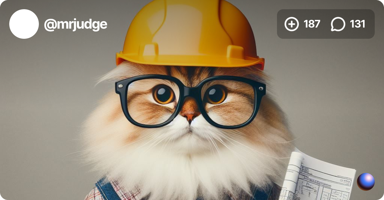 Engineer cat