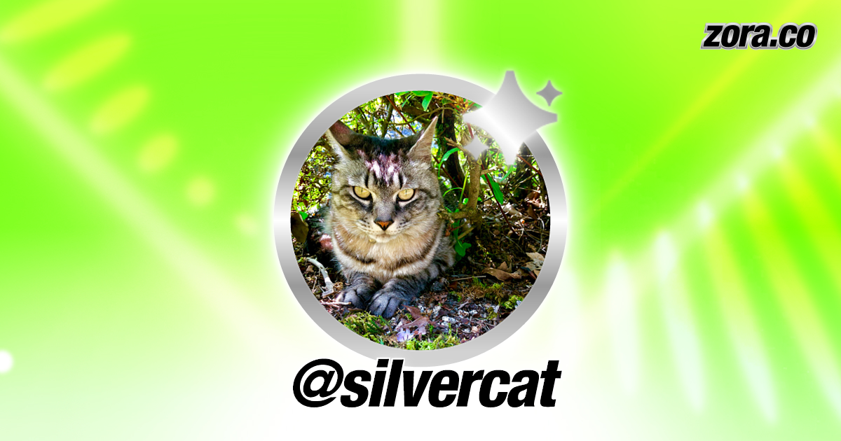 silvercat