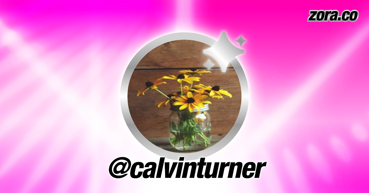 calvinturner