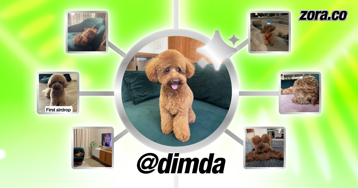 dimda