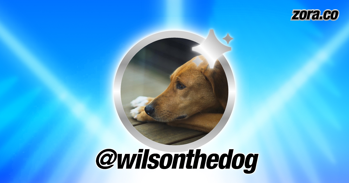 wilsonthedog